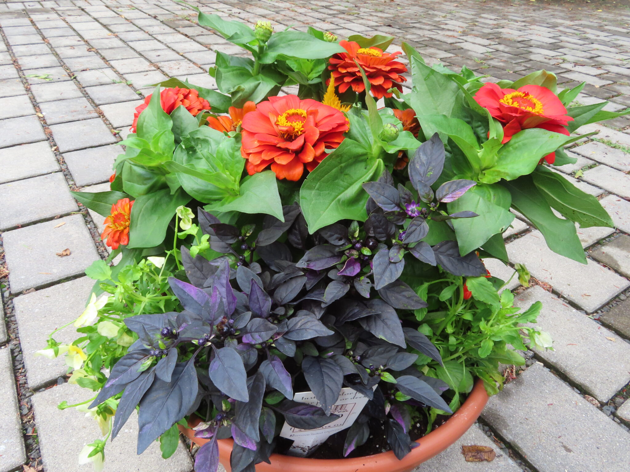 The Montclair Foundation - Van Vleck House & Gardens - Montclair, NJ